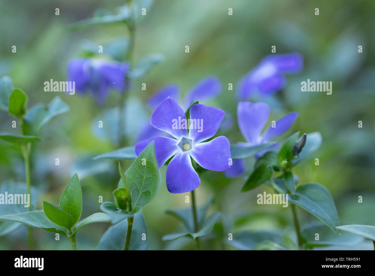 Beautiful sights hi-res stock photography and images - Alamy