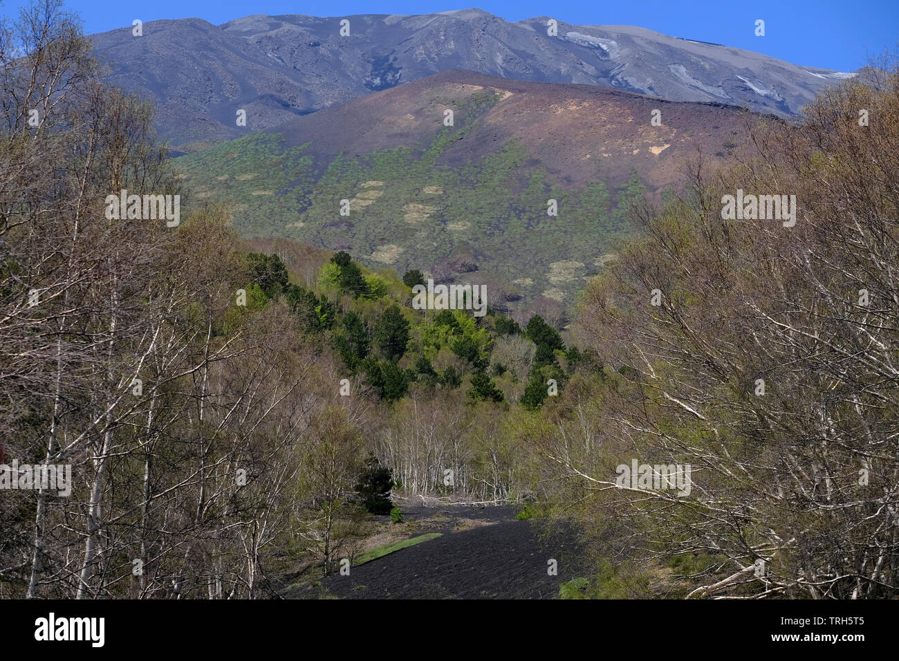 Slopes of Mount Etna, The highest and most active volcano in Europe ...