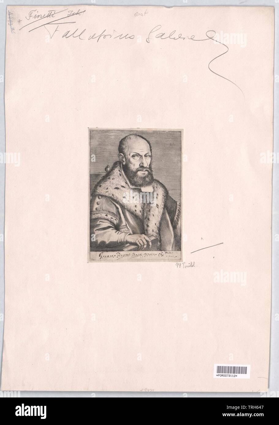 Falloppio hi-res stock photography and images - Alamy