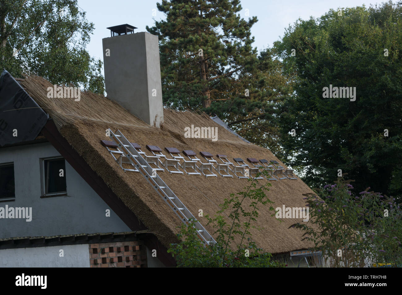 Professional execution of a repairs to a thatched roof Stock Photo - Alamy