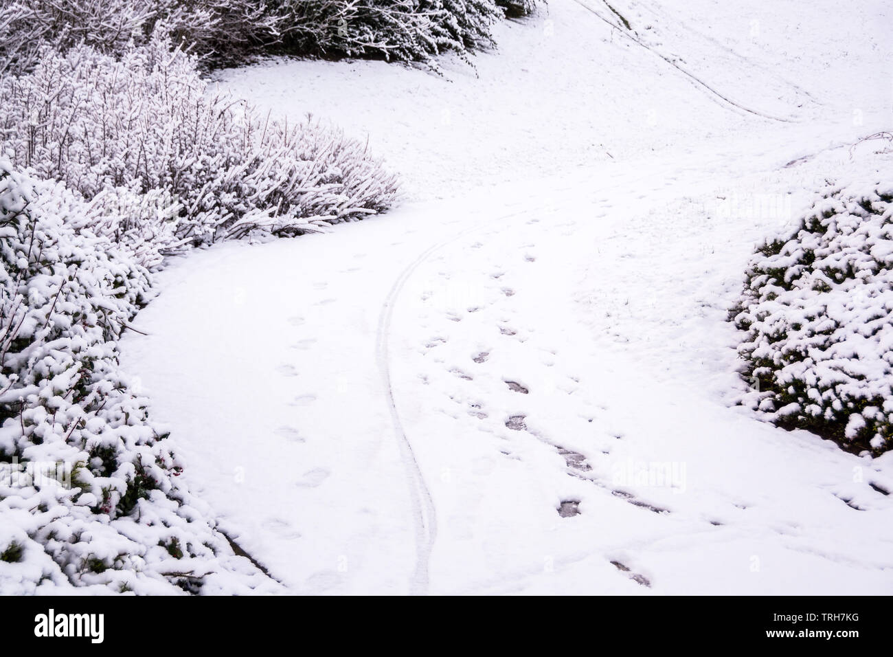 Curvy path hi-res stock photography and images - Alamy