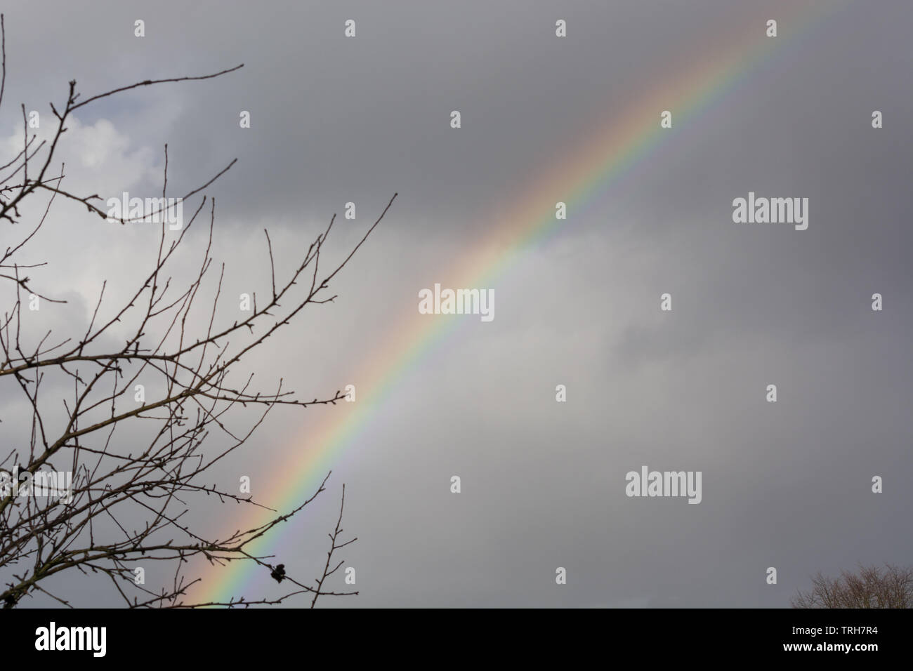 Fabulous magic landscape rainbow. Cloud with abstract big volume ...
