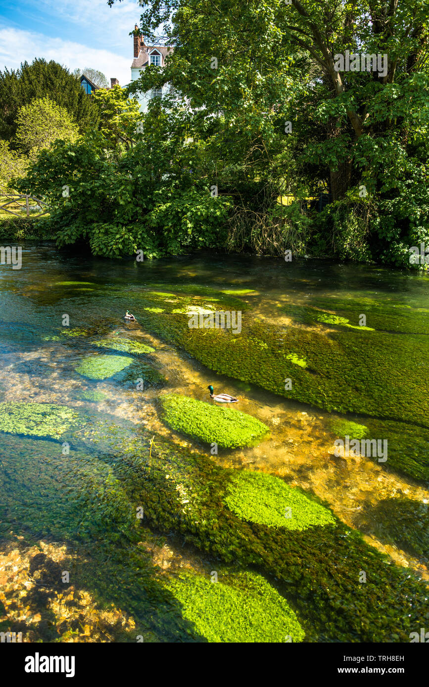 River Itchen flowing through the city of Winchester in Hampshire ...