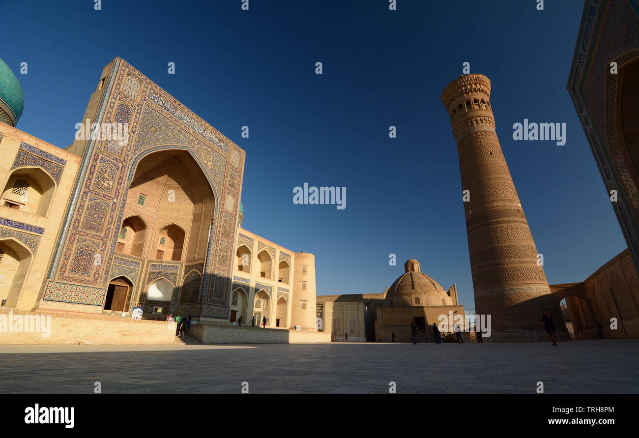 Mir-i-Arab madrasah & Kalon minaret. Bukhara. Uzbekistan Stock Photo - Alamy