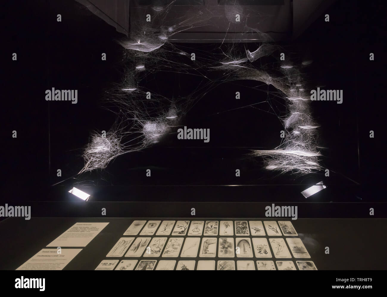 Spider Web Pavilion High Resolution Stock Photography and Images - Alamy