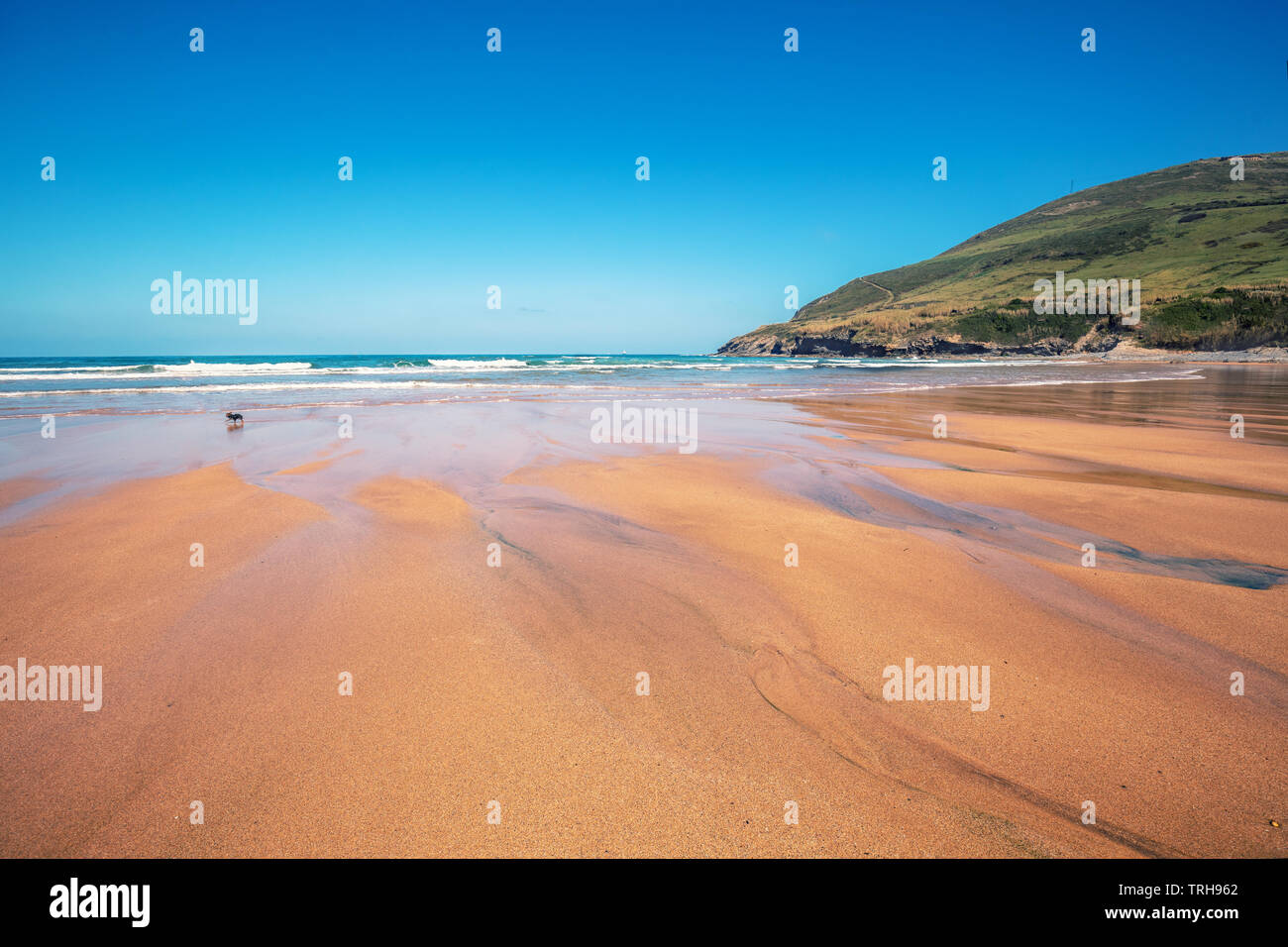 Sandy beach and ocean hi-res stock photography and images - Alamy