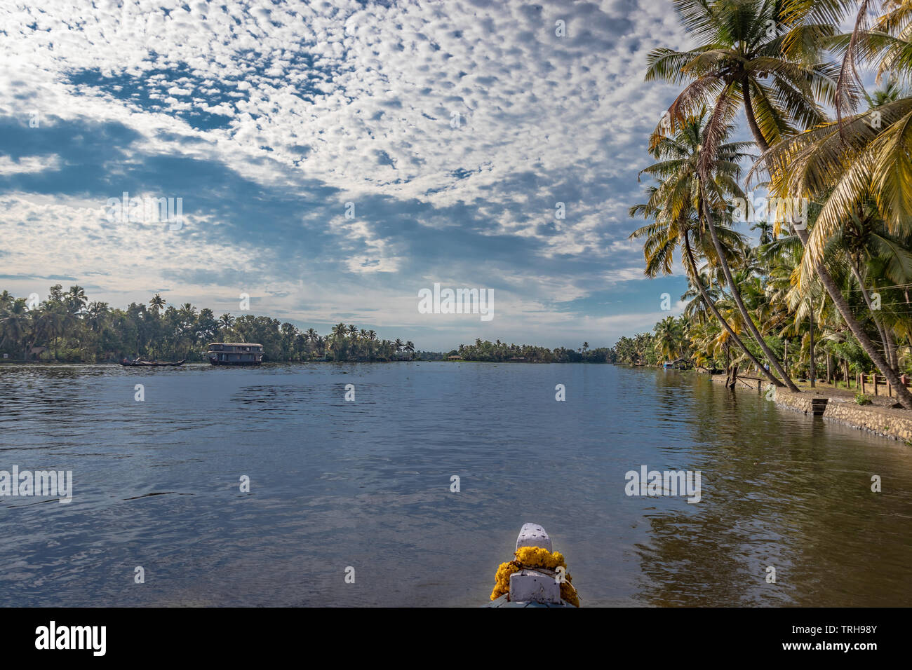 Sea backwater at alleppey kerala with palm tree and boat front edge ...