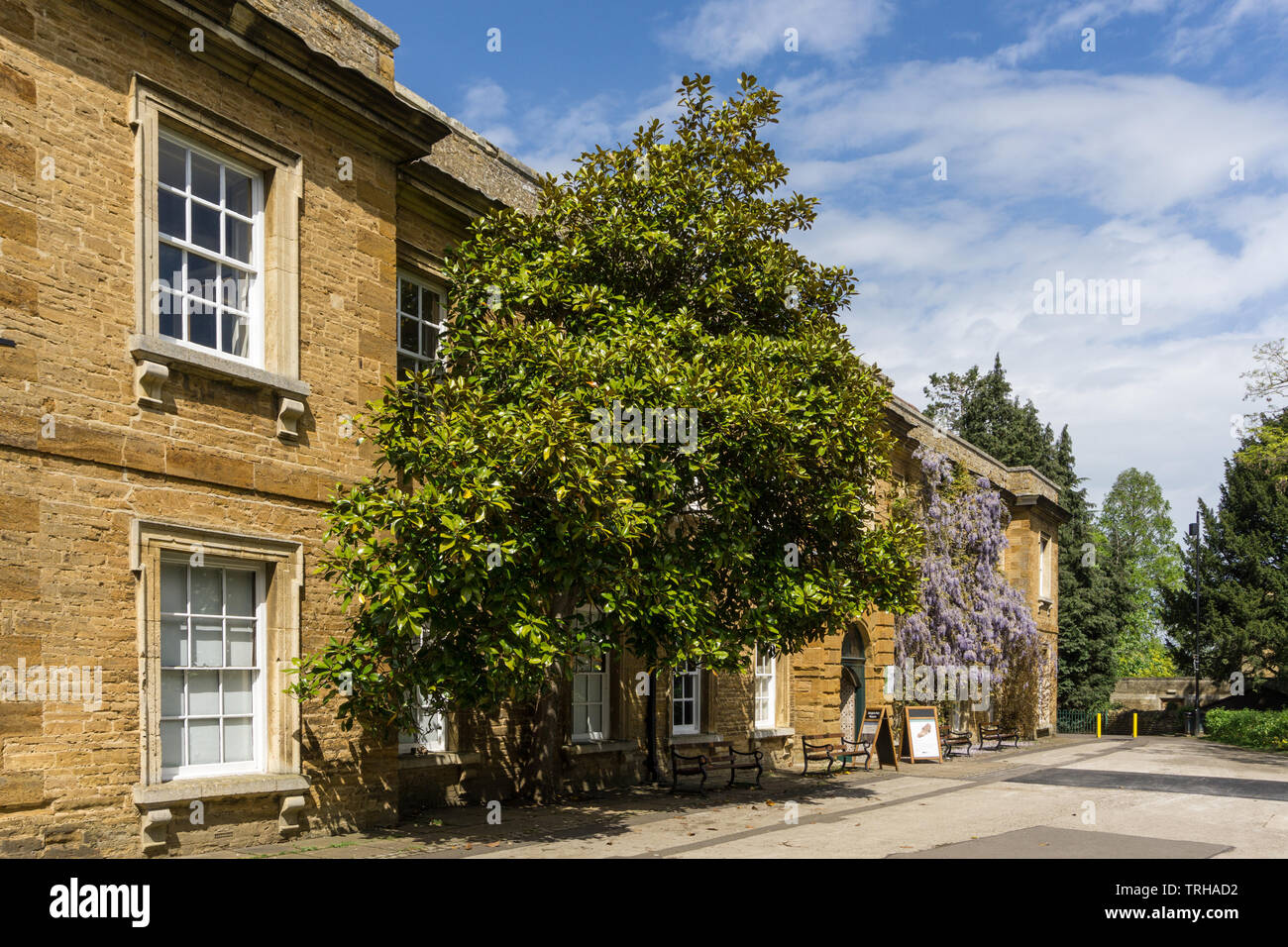 Exterior of Abington Park Museum in Spring with Magnolia grandiflora ...