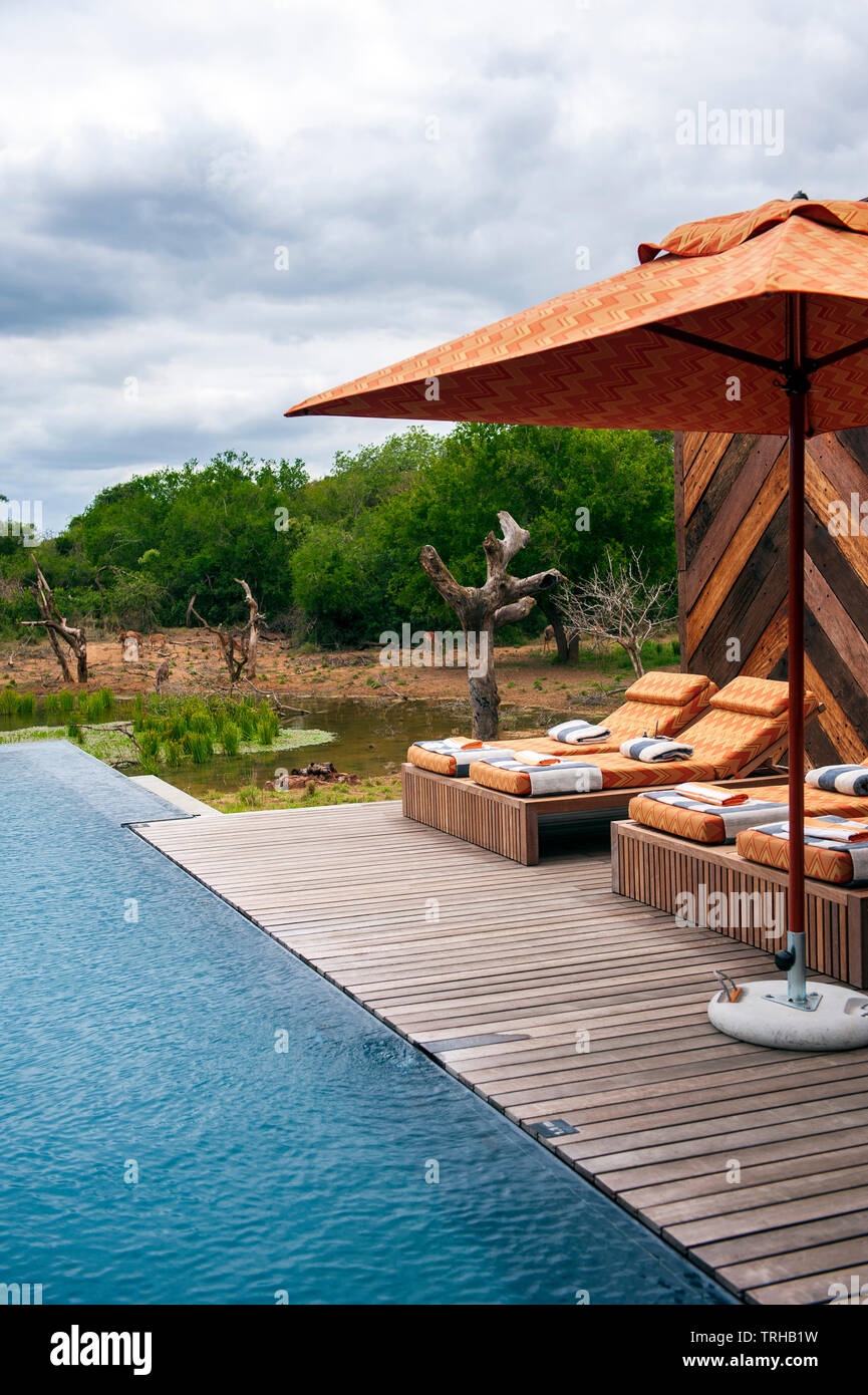 Pool with wildlife views at Phinda Homestead, in andBeyond’s Phinda ...