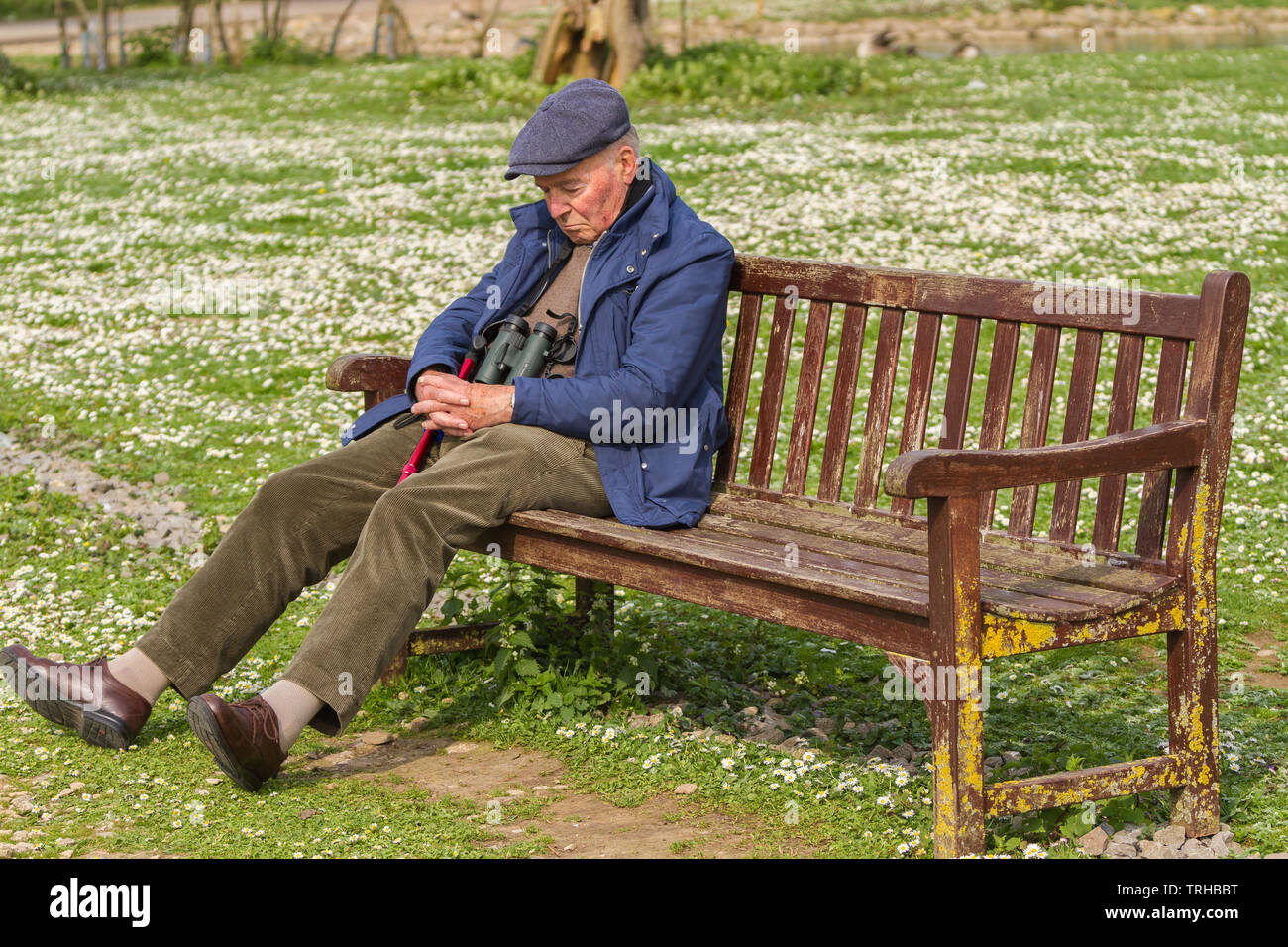 Old man sleeping on chair hi-res stock photography and images - Alamy