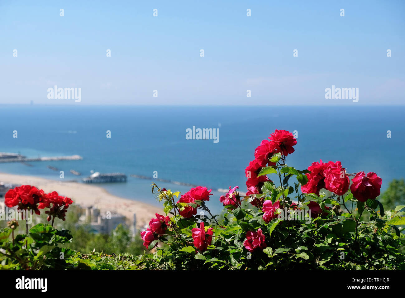 Gabbice monte hi-res stock photography and images - Alamy