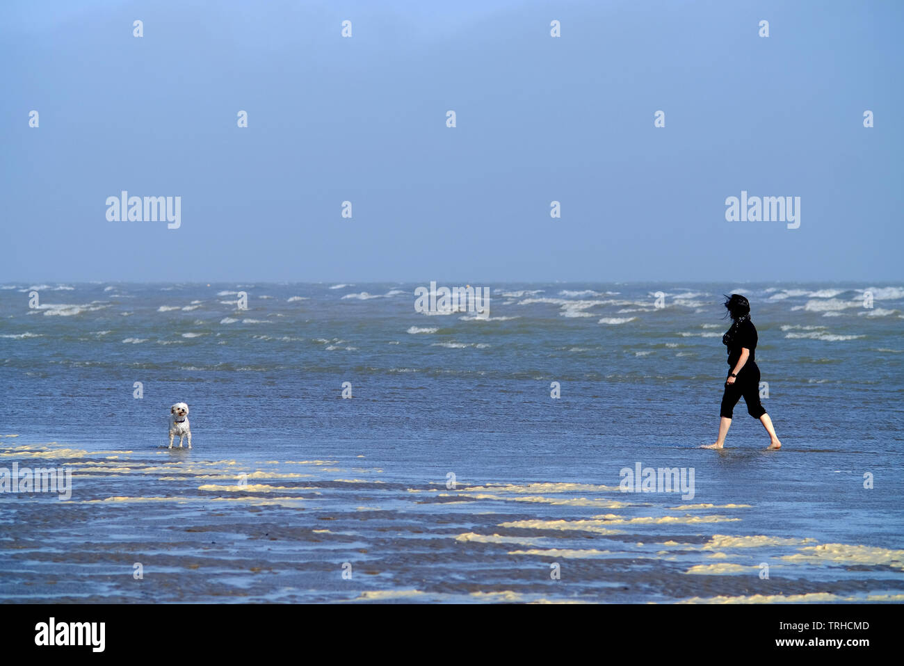 Windy sandy beach hi-res stock photography and images - Alamy
