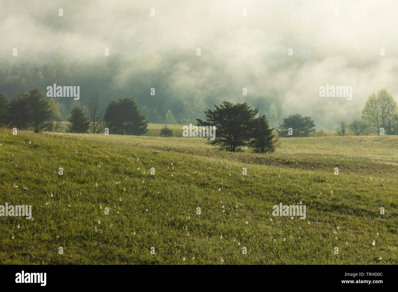 Tennessee great smoky mountains national park hi-res stock photography ...