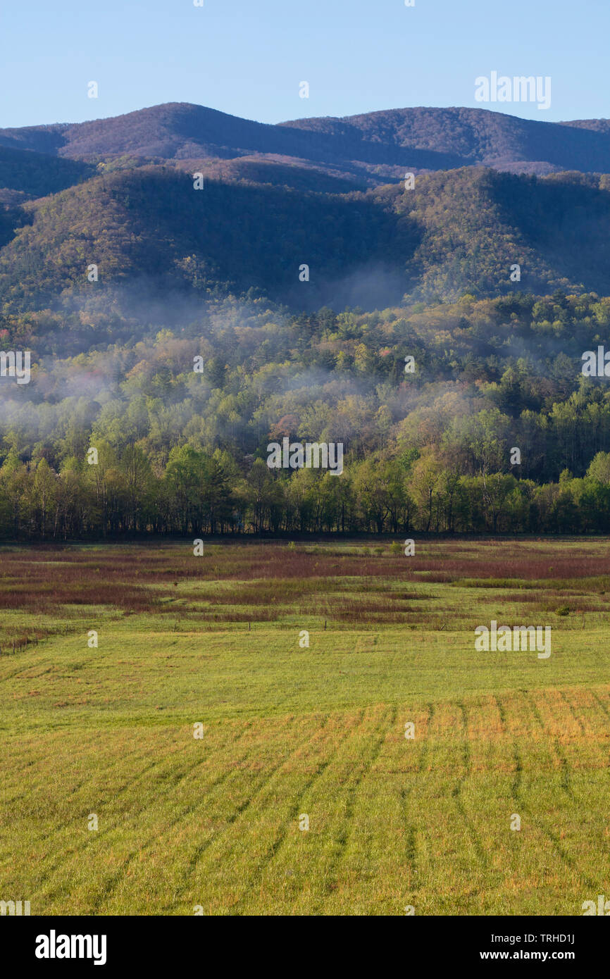 Cade's Cove, Spring, Great Smoky Mountains National Park, Tennessee ...