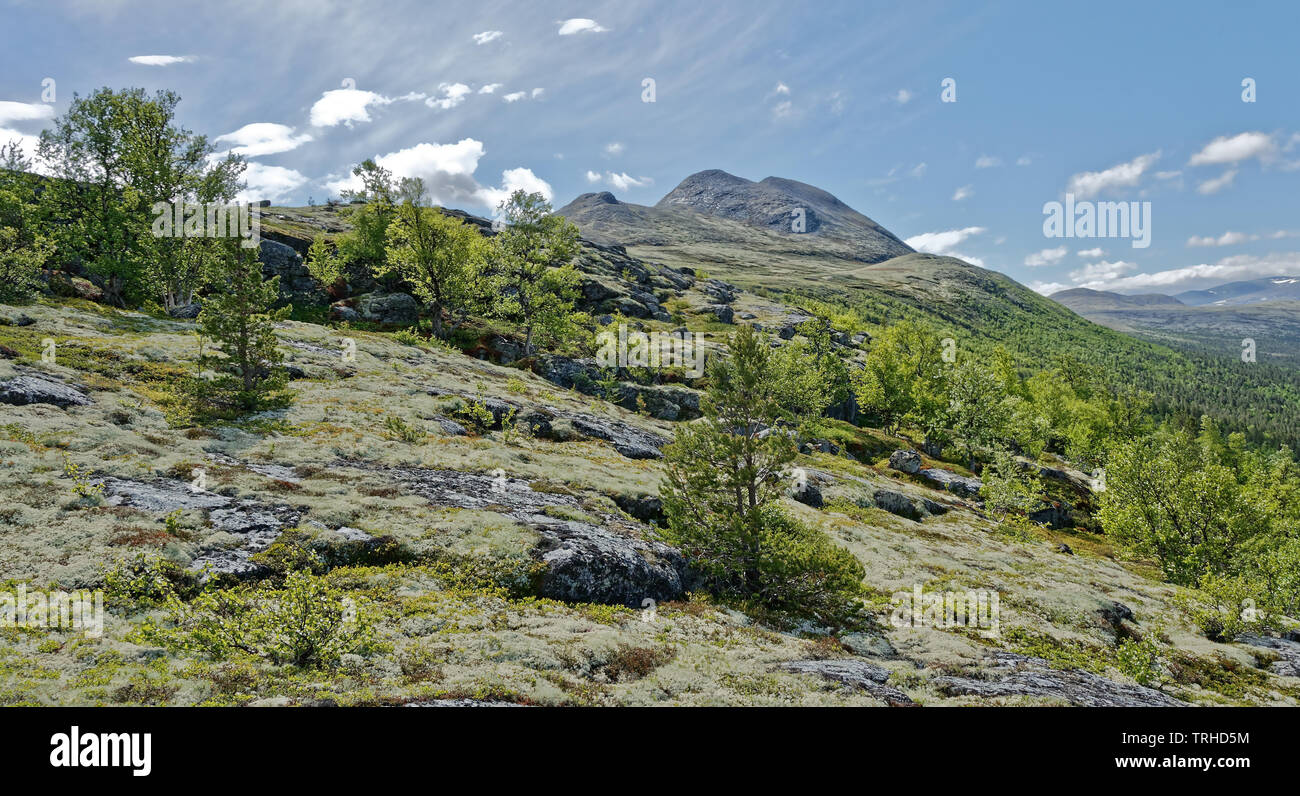 Norway. Wanderung zur Alm Bakkeseter in Rondane Stock Photo - Alamy