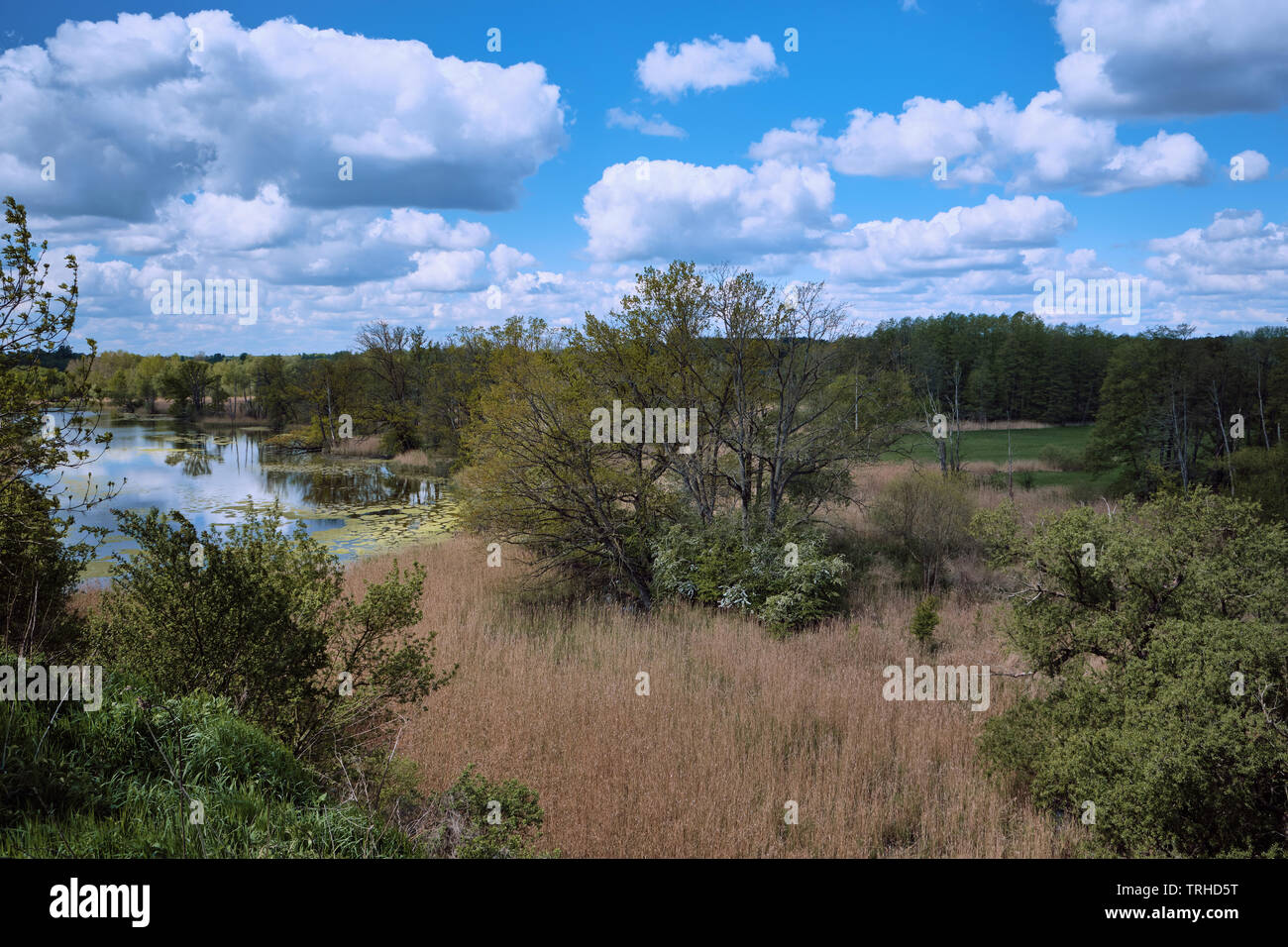 Beautiful spring landscape with a lake viewed from a hilltop near ...