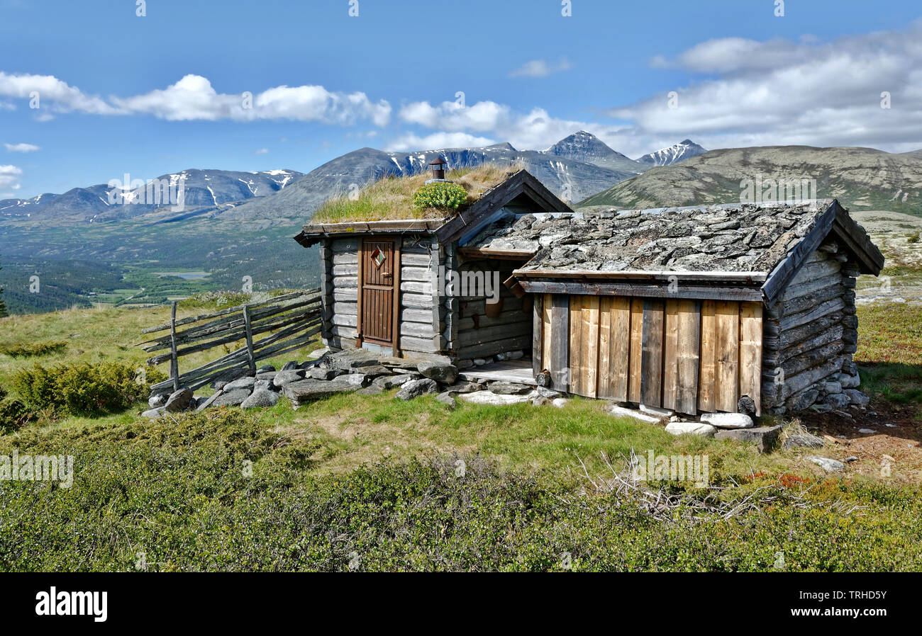 Norway. Wanderung zur Alm Bakkeseter in Rondane Stock Photo - Alamy