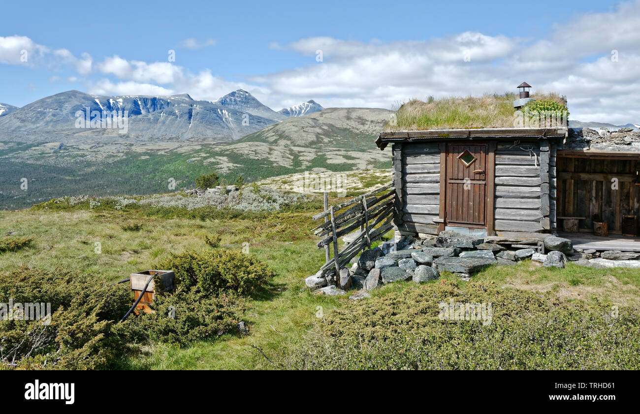 Norway. Wanderung zur Alm Bakkeseter in Rondane Stock Photo - Alamy