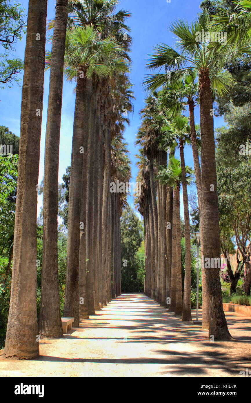 Jardin Jnan Sbil or Bou Jeloud Gardens in Fes in Morocco, The beautiful ...