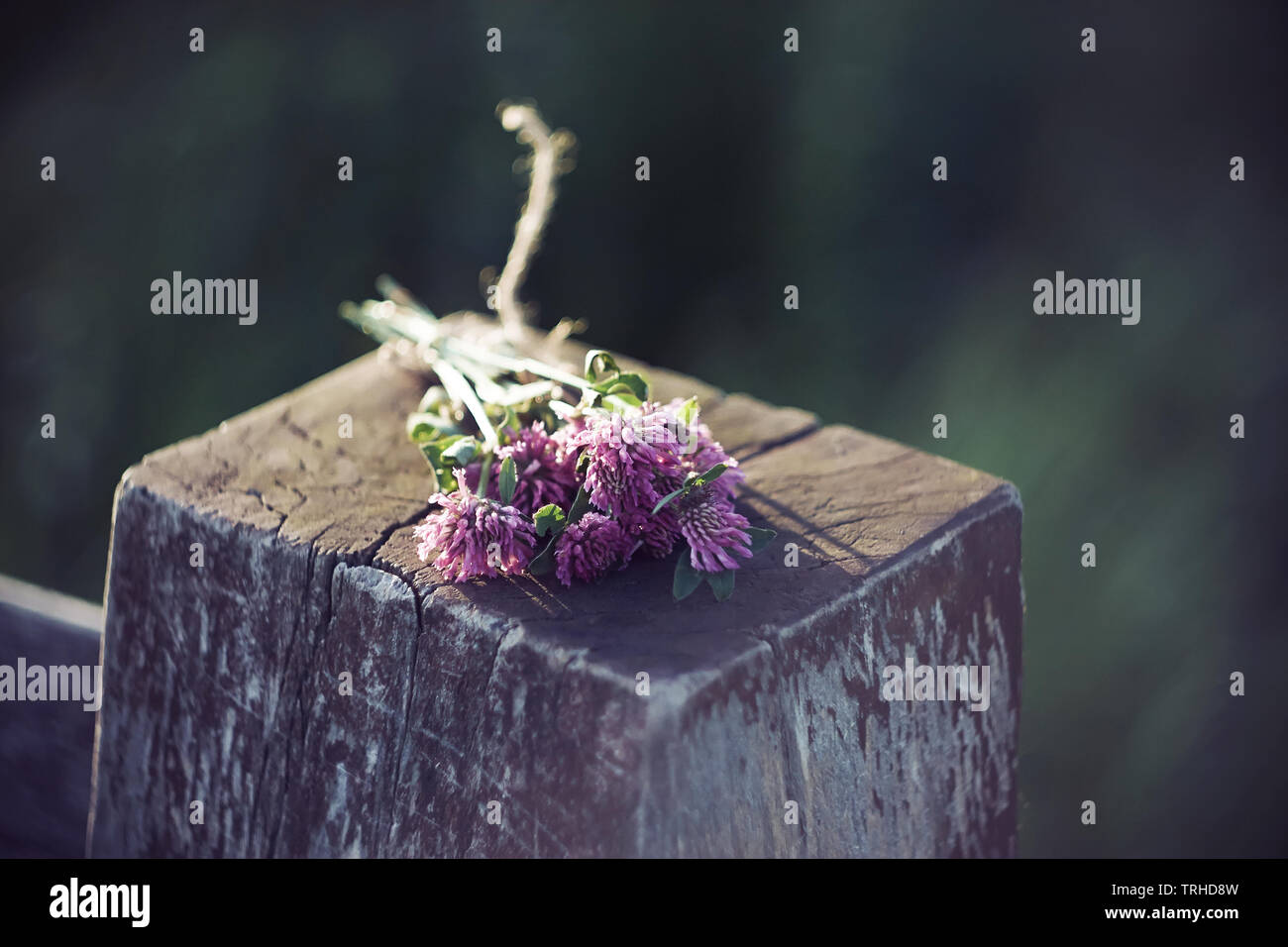 Forgotten bouquet hi-res stock photography and images - Alamy