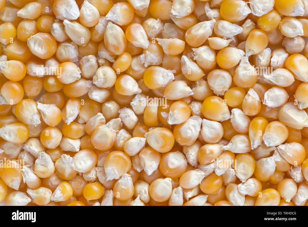 close up of popcorn seeds background Stock Photo - Alamy