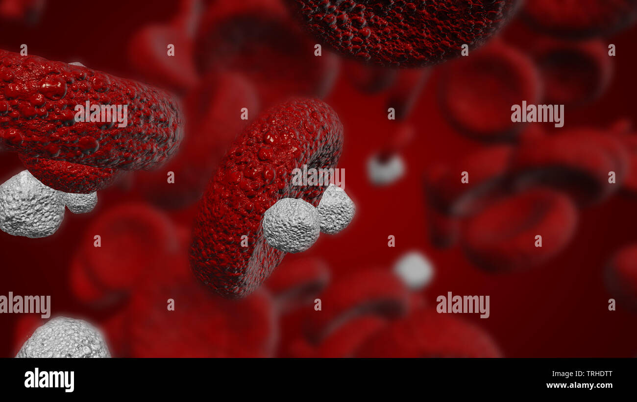 Illustration of white blood cells and red blood cells used in medicine ...