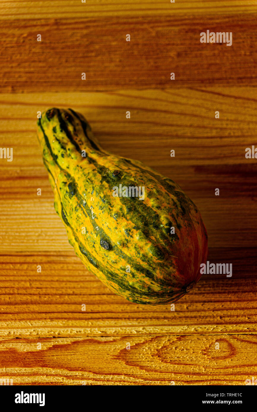 Golden gourd hi-res stock photography and images - Alamy