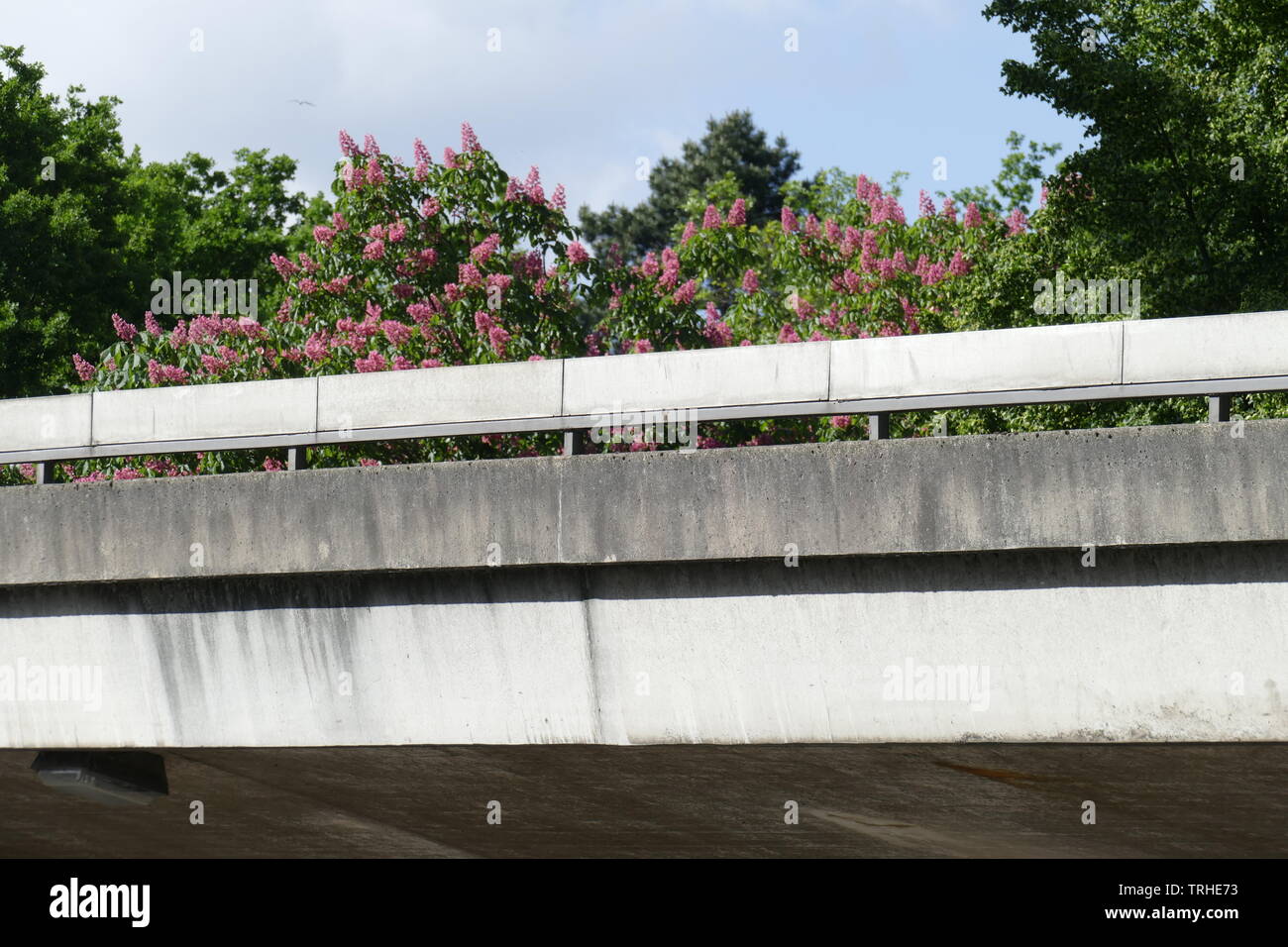 Lane boundary on a concrete elevated road Stock Photo - Alamy