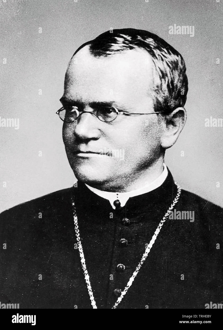 Gregor mendel hi-res stock photography and images - Alamy
