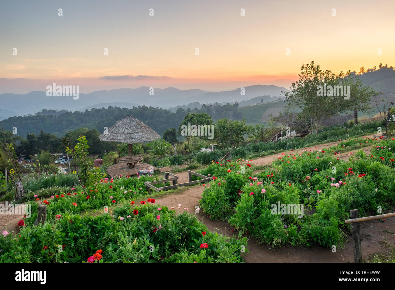 Landscape attractions sunset twilight beautiful at mon jam,chiang mai ...