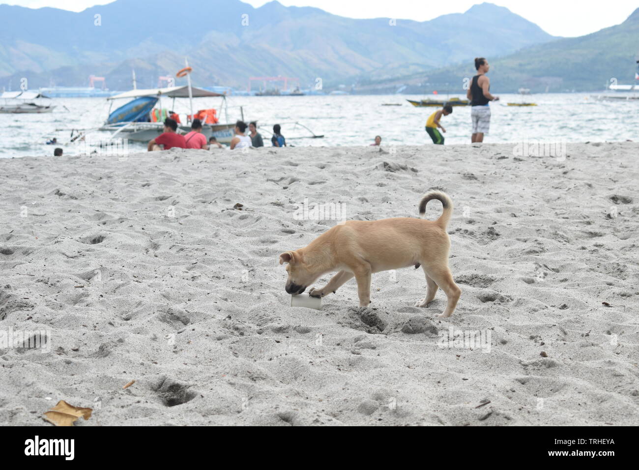 Subic, Zambales High Resolution Stock Photography and Images - Alamy