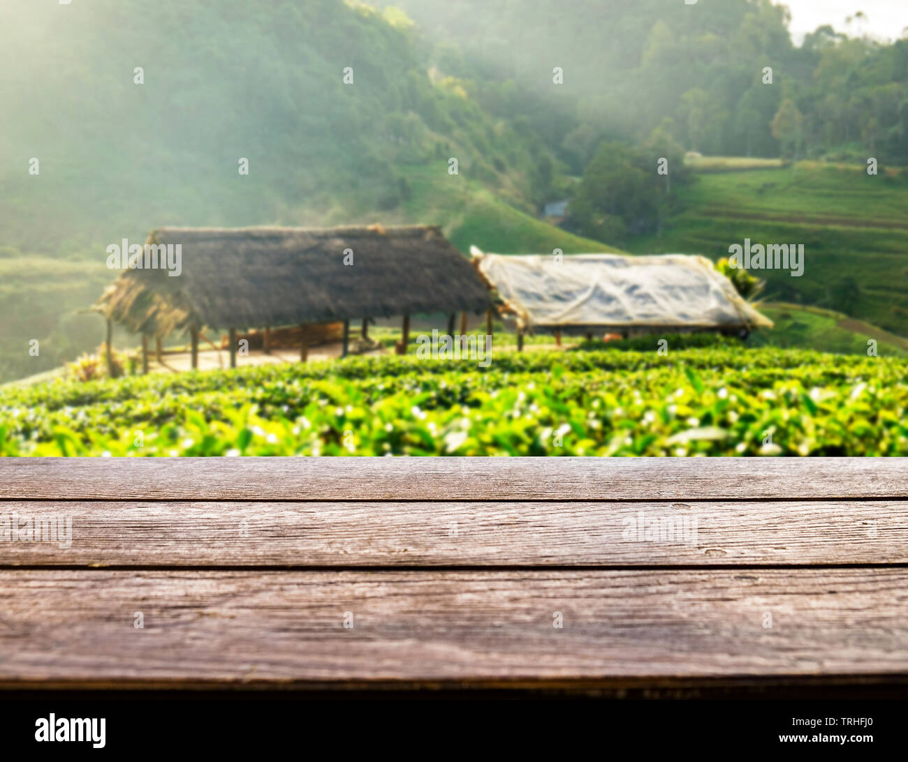 Thatched pavilion hi-res stock photography and images - Alamy