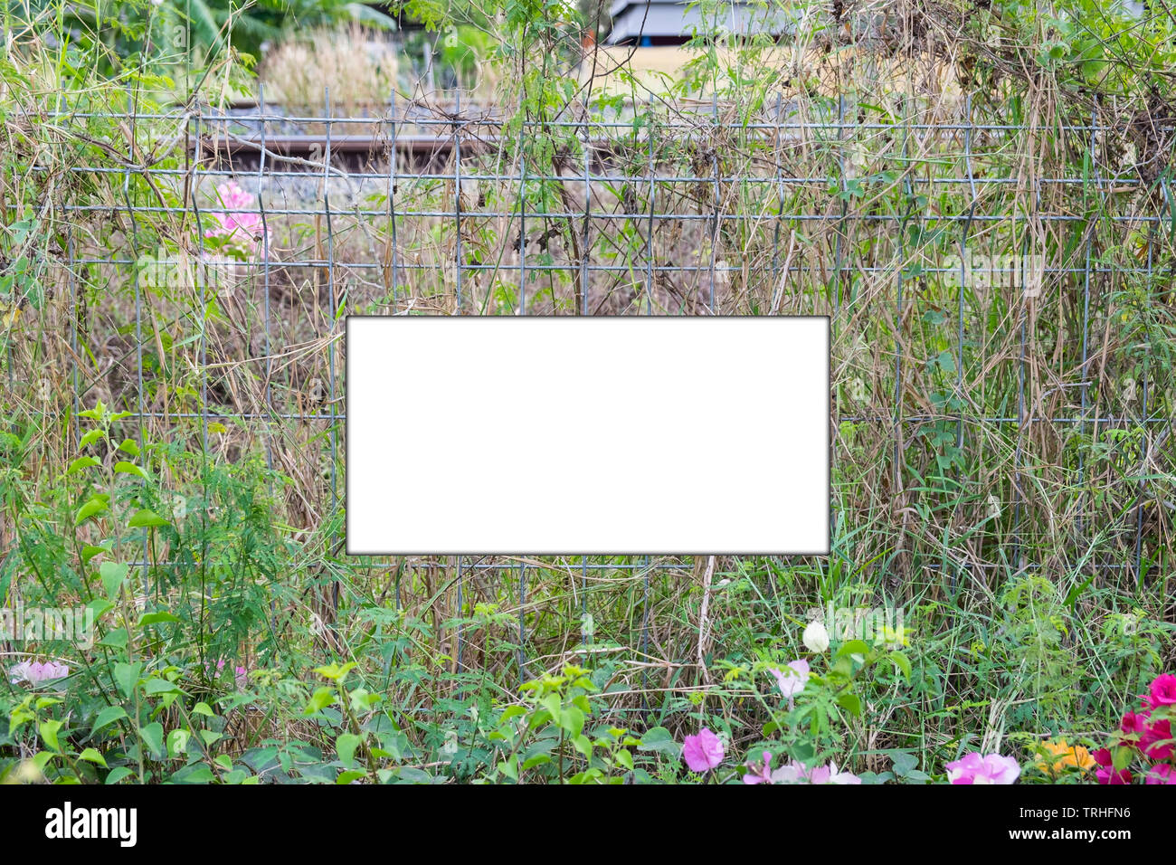 White label signs warning and wire fence untidy tree Stock Photo - Alamy