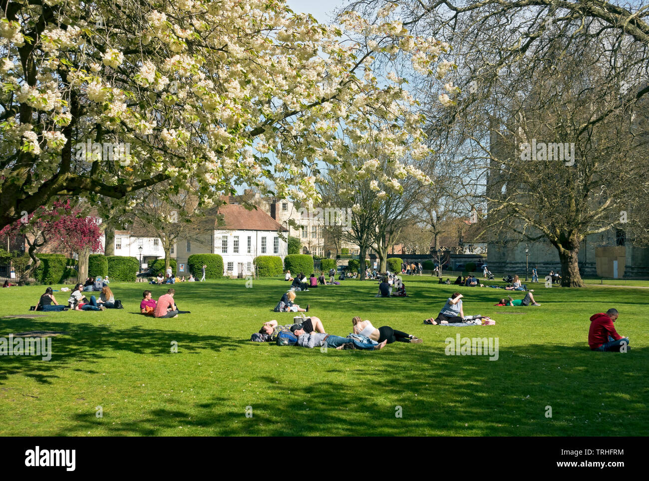 City of york, england spring blossom hi-res stock photography and ...
