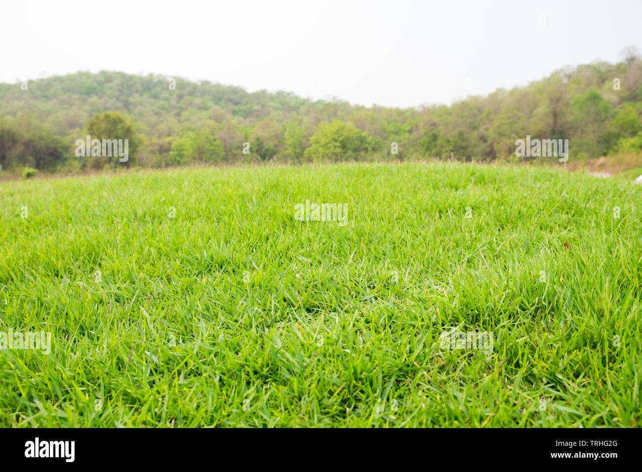 Mound slope hi-res stock photography and images - Alamy