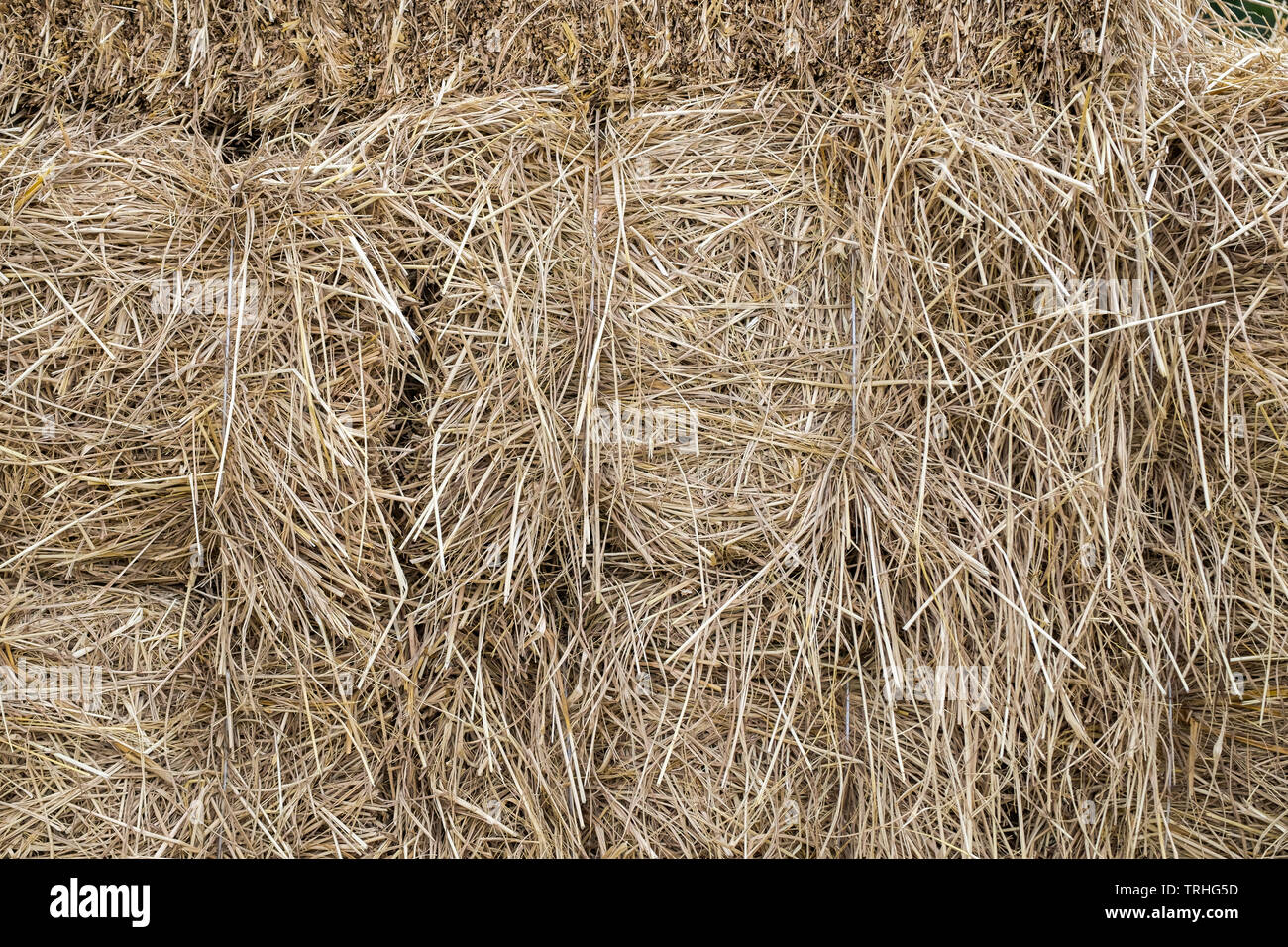 Straw stack fodder texture background Stock Photo - Alamy