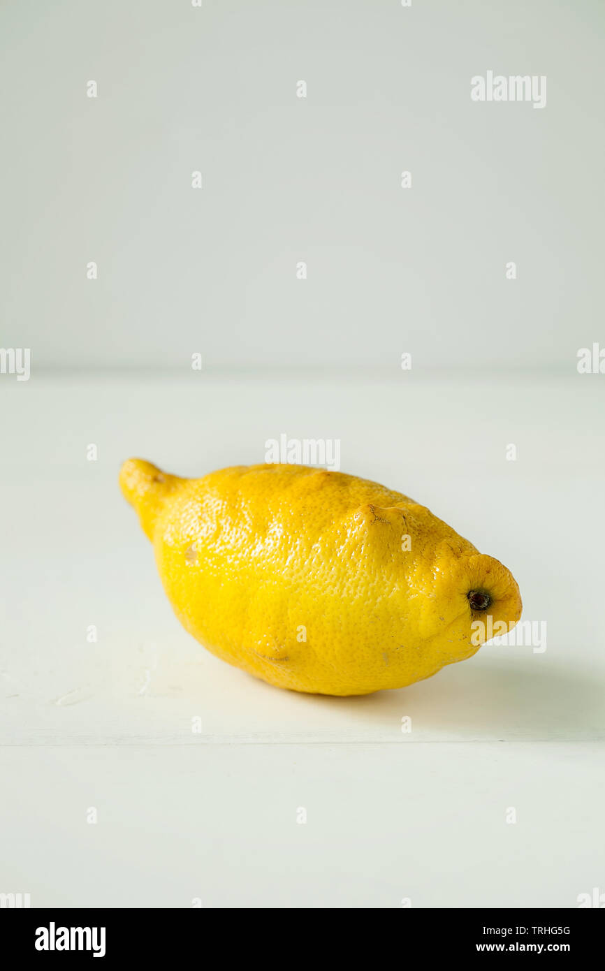 Trendy ugly organic lemon unusual shape on white background with copy ...