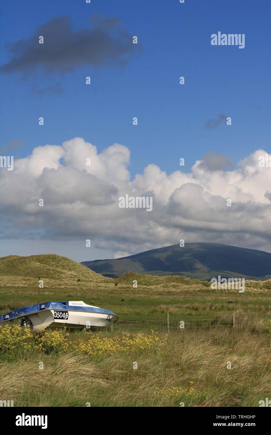 UK Cumbria, Sandscale Haws National Nature Reserve, Barrow In Furness ...