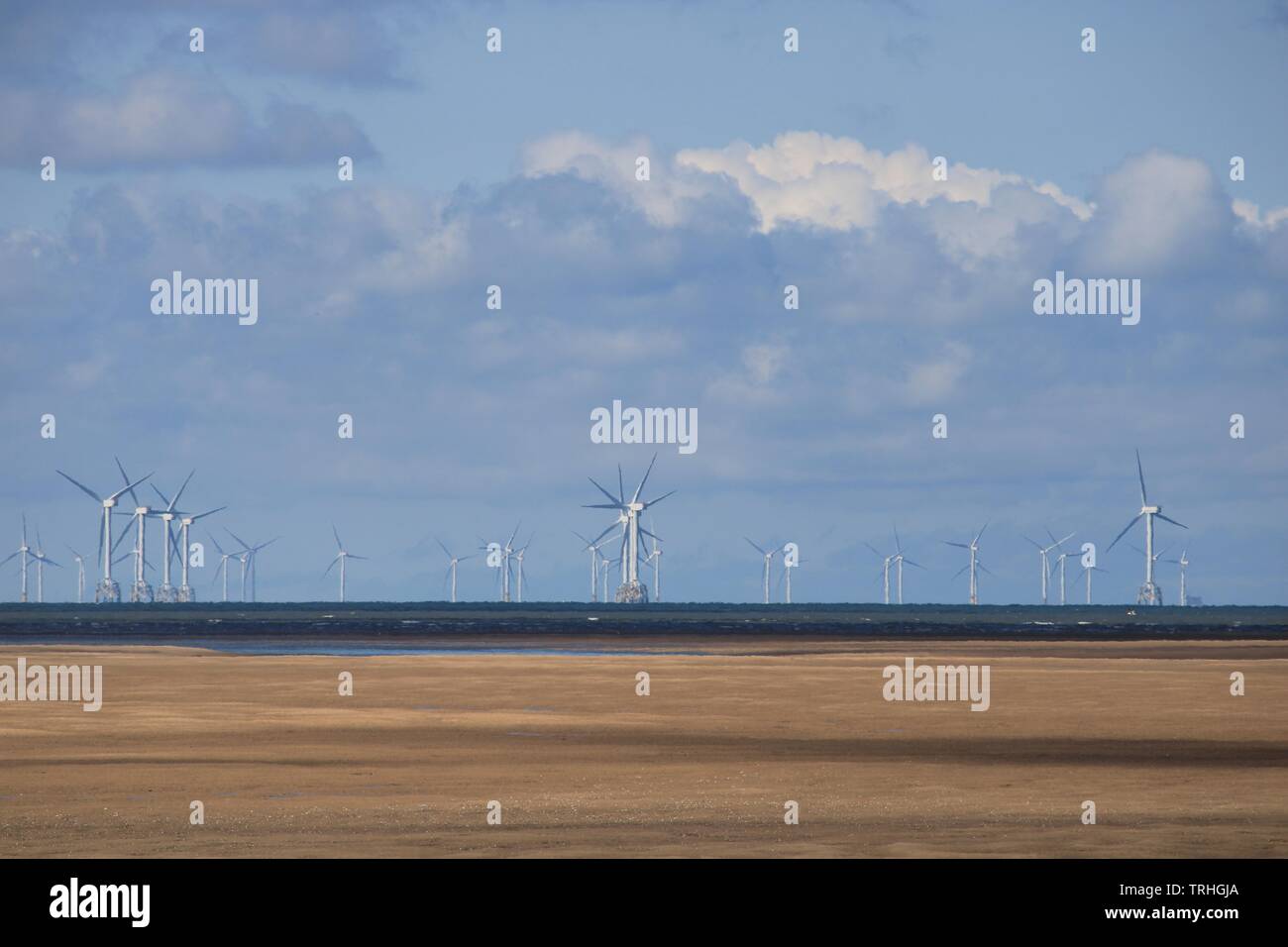 UK Cumbria, Sandscale Haws National Nature Reserve, Barrow In Furness ...