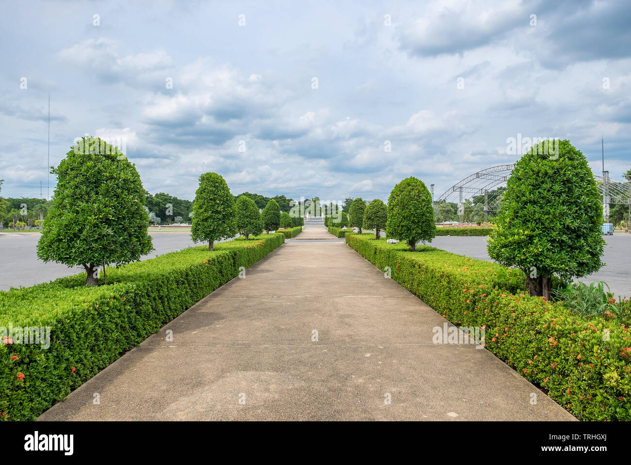 Road straight orderly ornamental greenery garden Stock Photo - Alamy