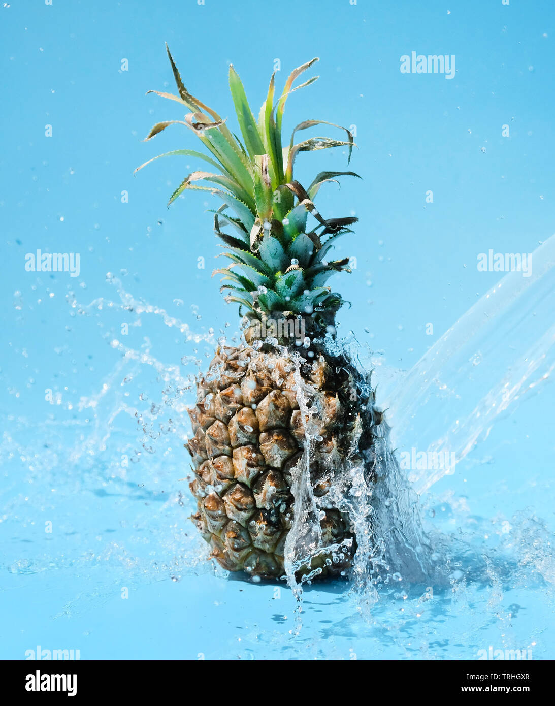 Pineapple in water splash on blue background Stock Photo - Alamy