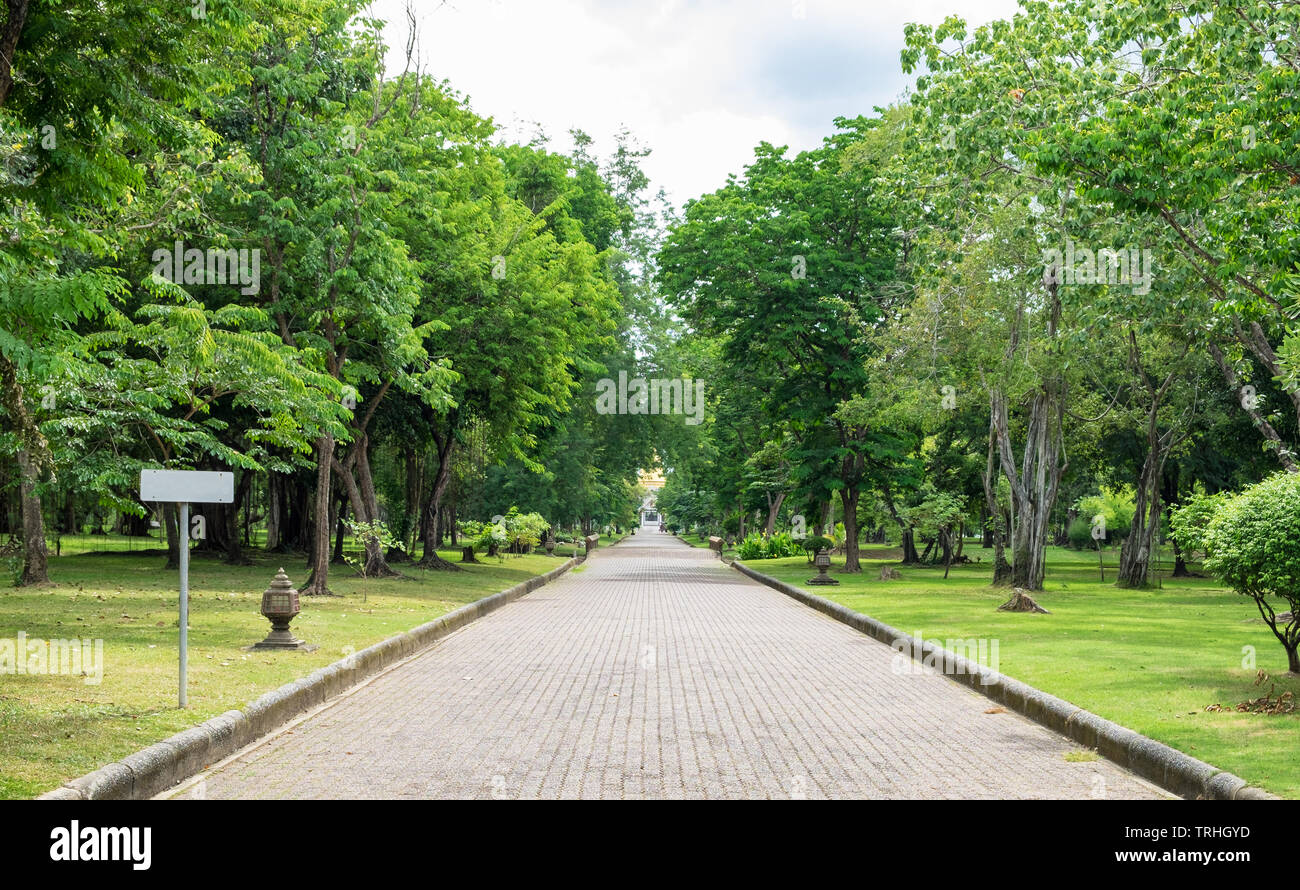 Road straight orderly ornamental greenery garden Stock Photo - Alamy