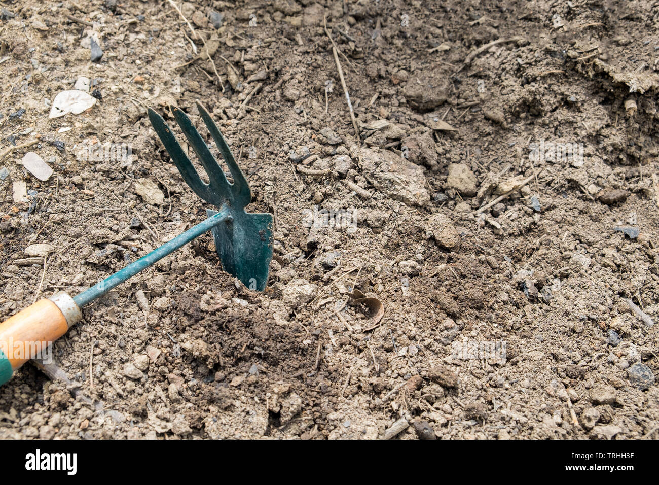 Shovel agricultural tools on ground Stock Photo - Alamy