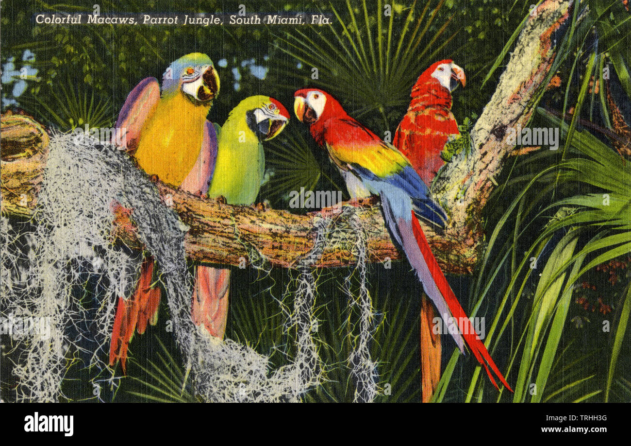 Miami Miami Postcard High Resolution Stock Photography and Images - Alamy