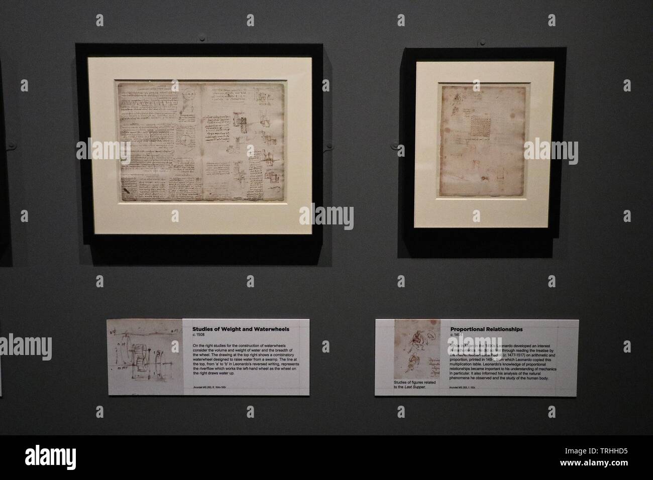 Leonardo da Vinci's notebooks to be displayed together in the UK for the first time as new ...