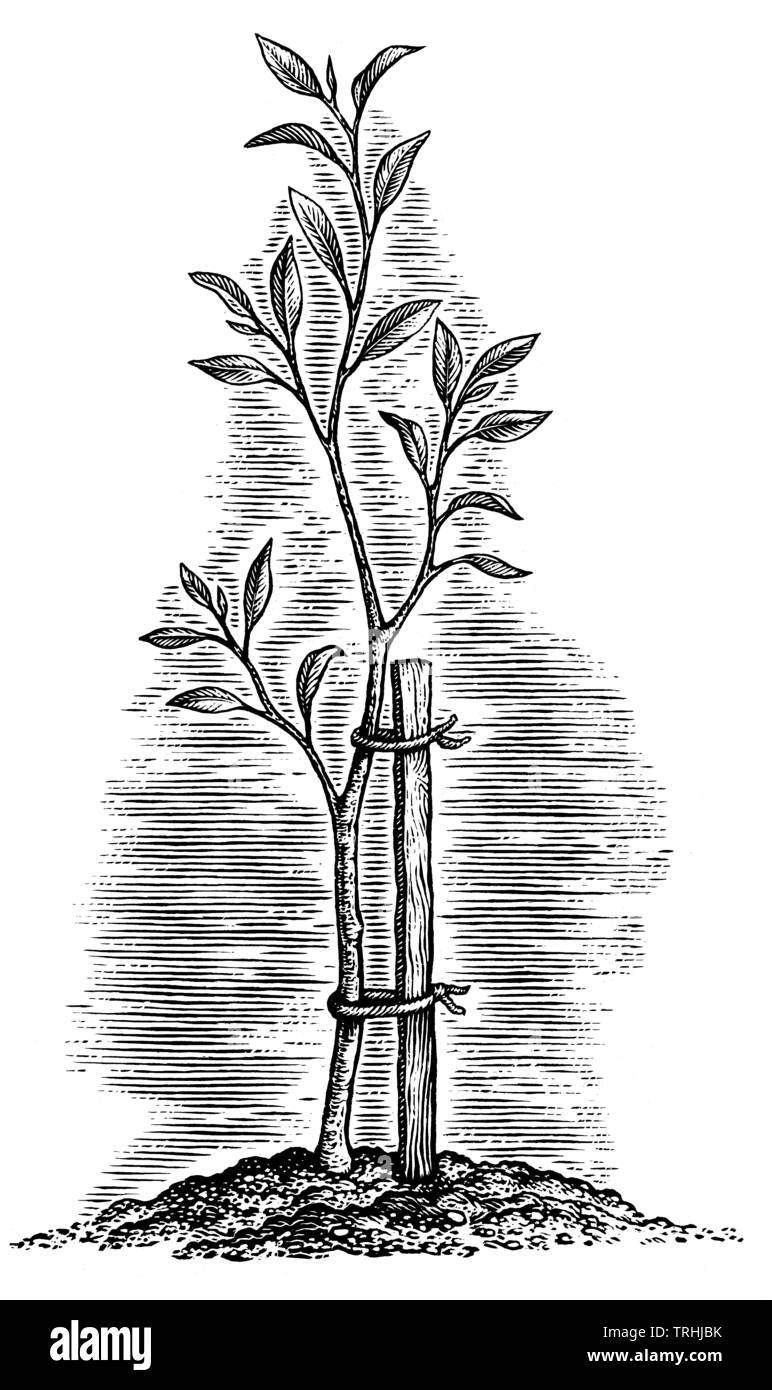 Upno hi-res stock photography and images - Alamy