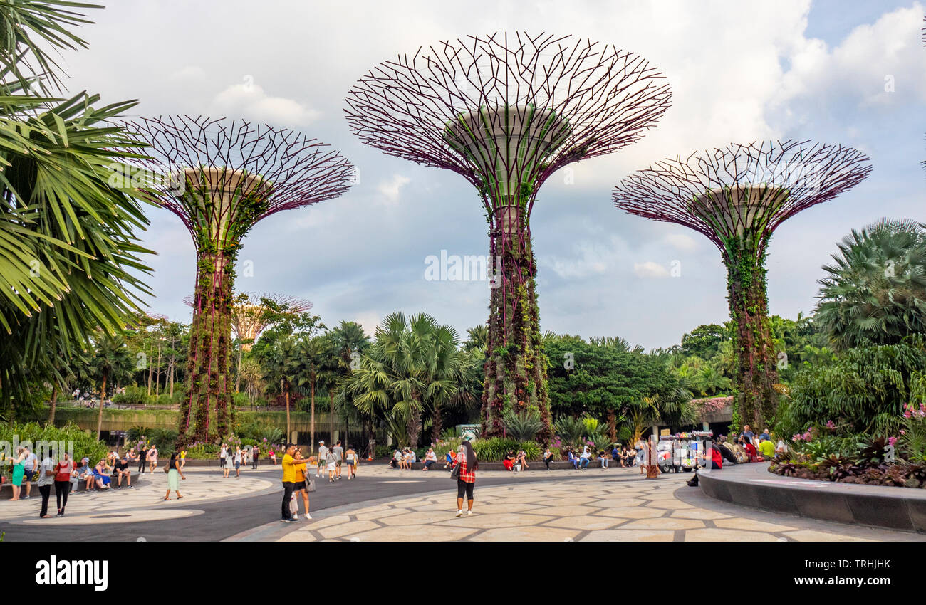 Tourists walking between artificial trees in the Supertree Grove ...