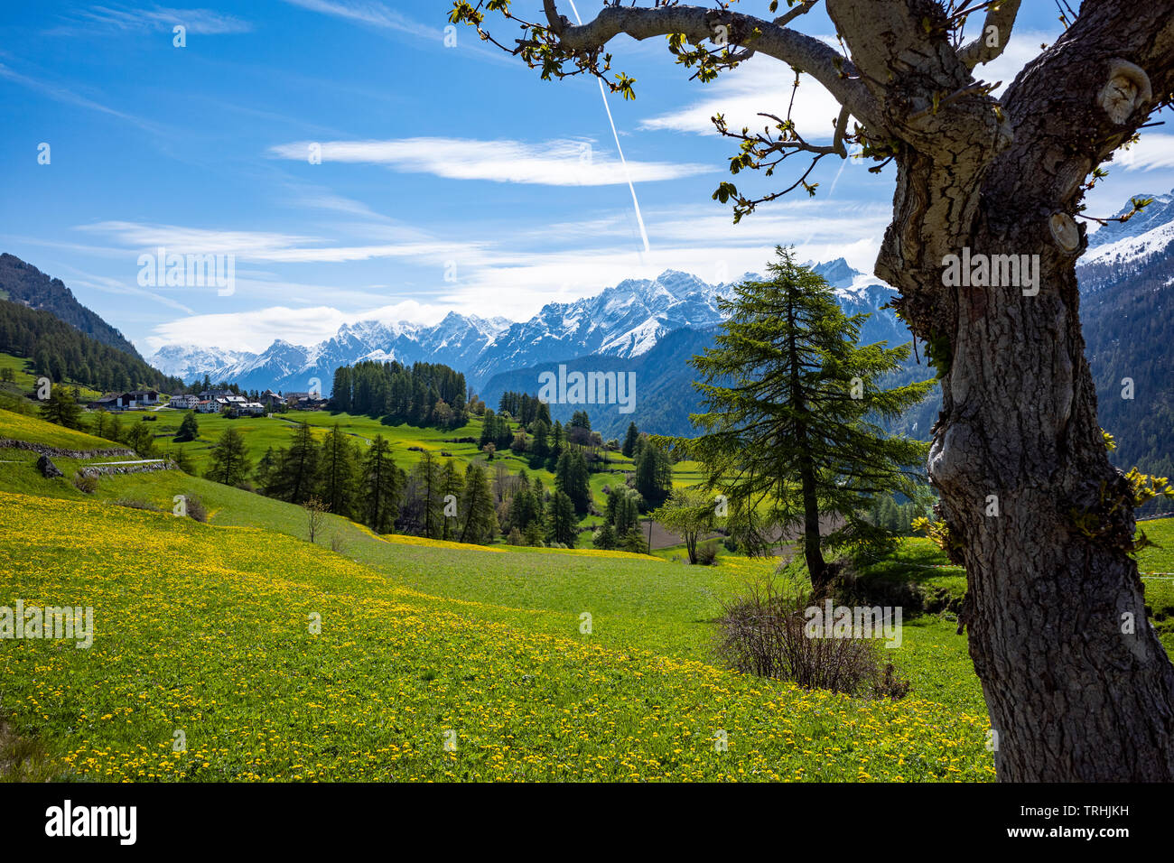 Schweiz berg tal landschaft hi-res stock photography and images - Alamy