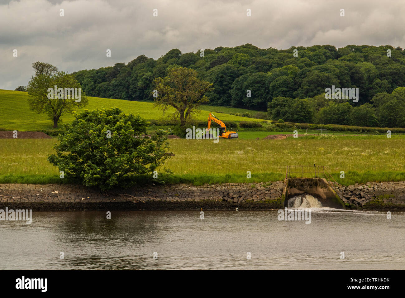 Tree Near River Stock Photo - Alamy