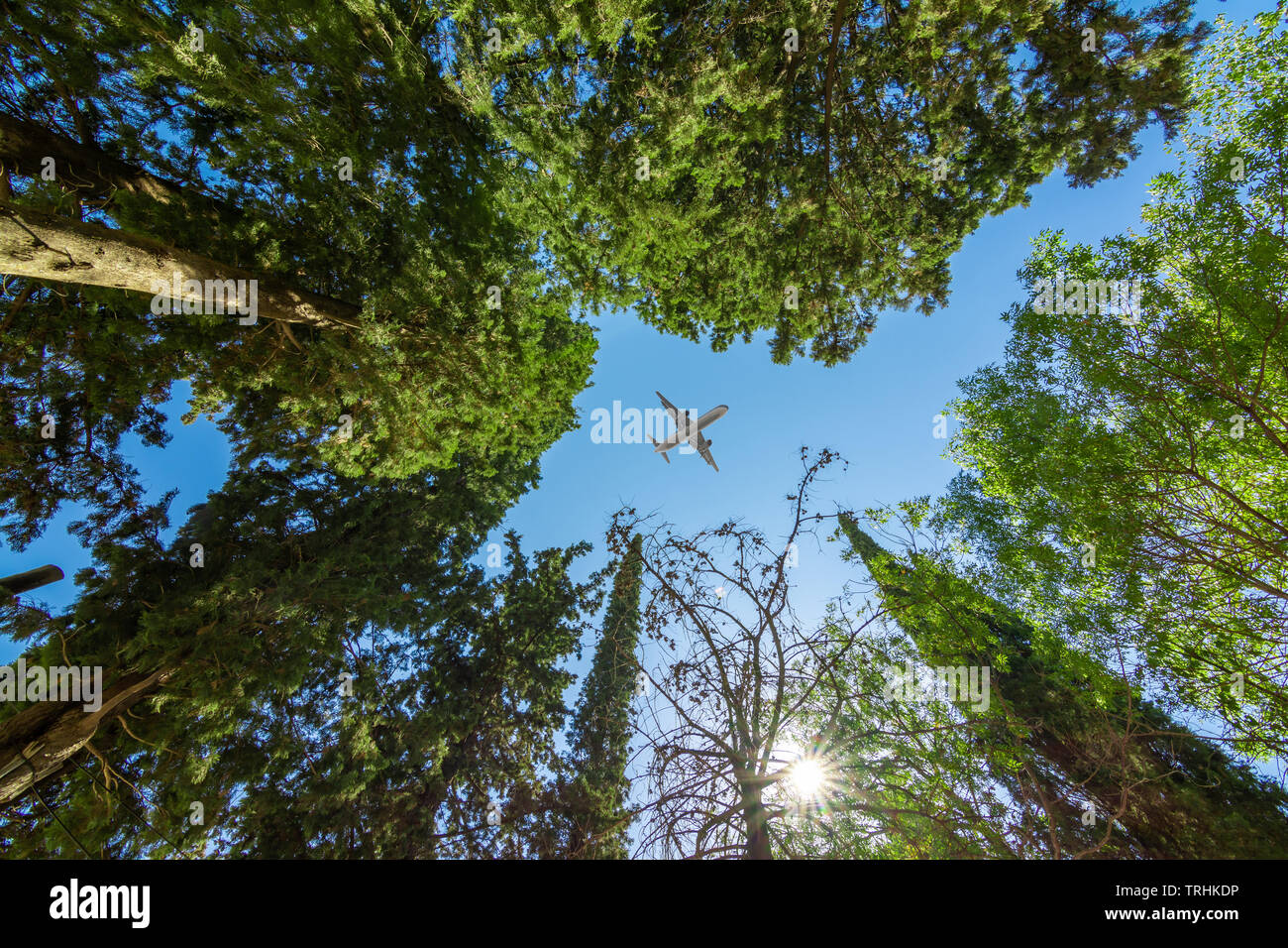 Aircraft flying over forest hi-res stock photography and images - Alamy